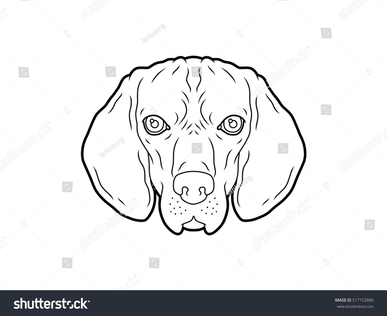 Beagle Line Art Stock Vector (Royalty Free) 517152886