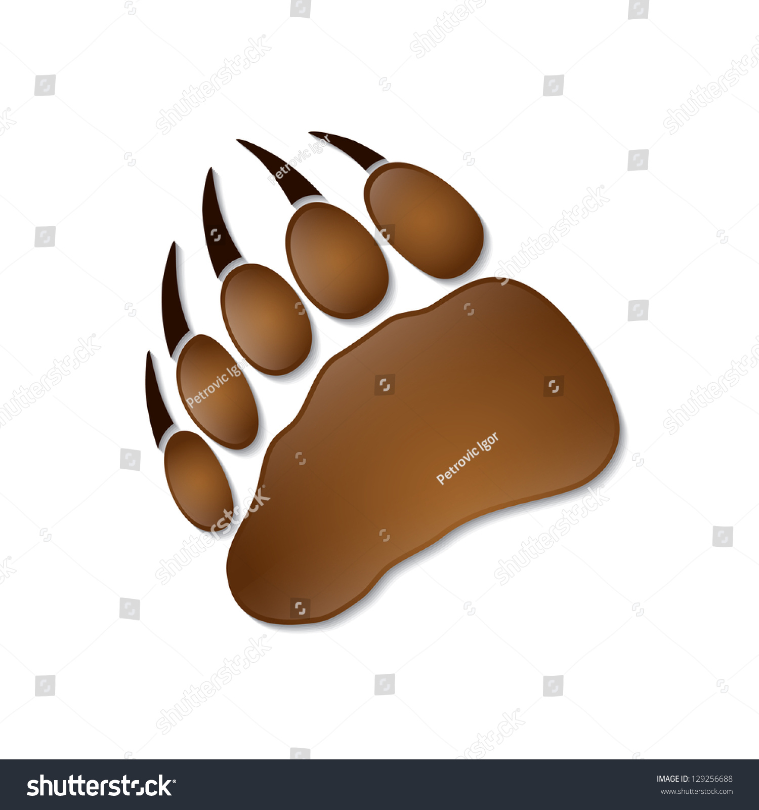 Bear Footprint - Vector Illustration - 129256688 : Shutterstock