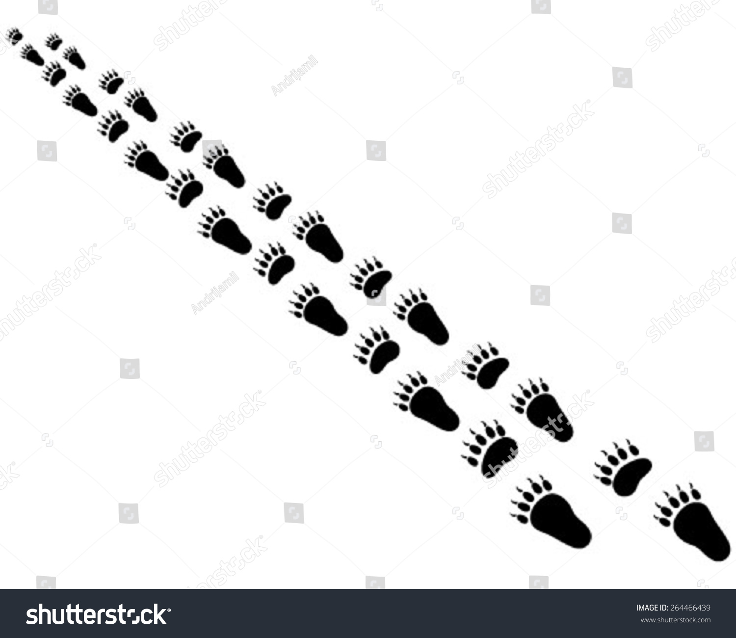 Bear Footstep Vector Illustration Stock Vector (Royalty Free) 264466439