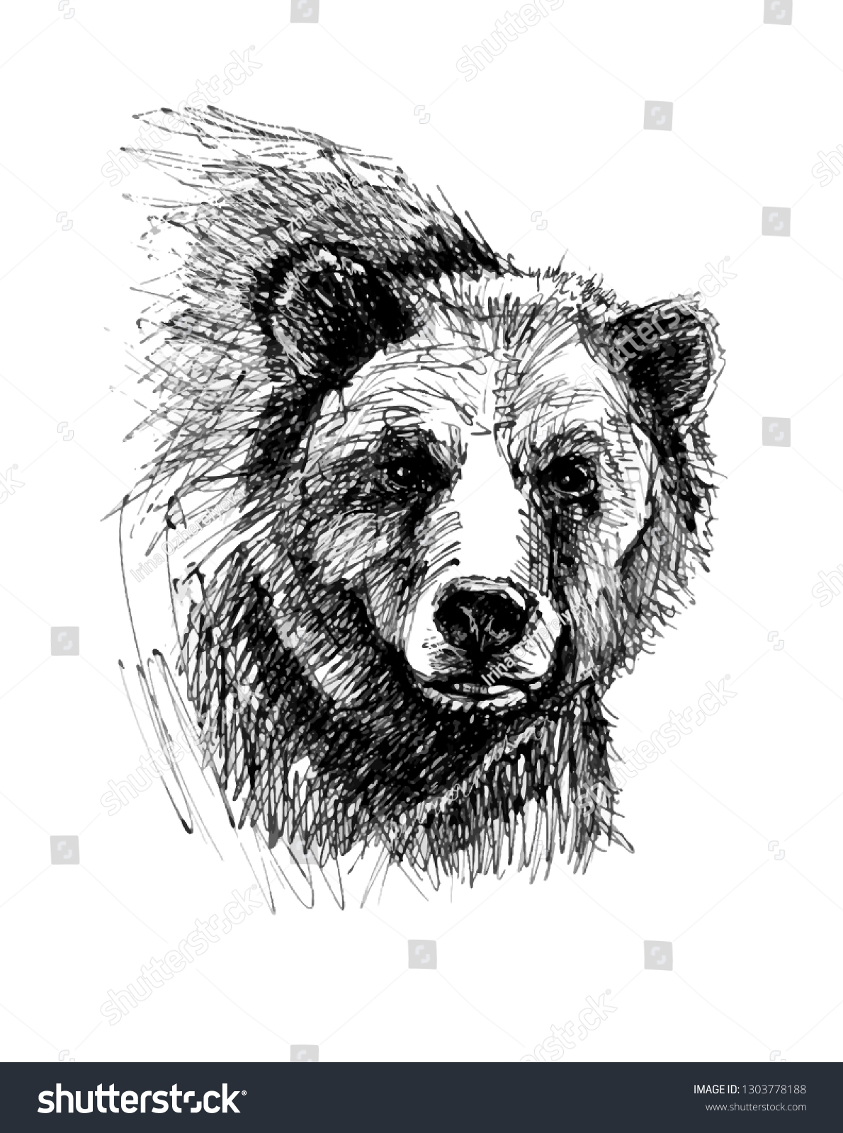 Bear Head Line Drawing Stock Vector (Royalty Free) 1303778188