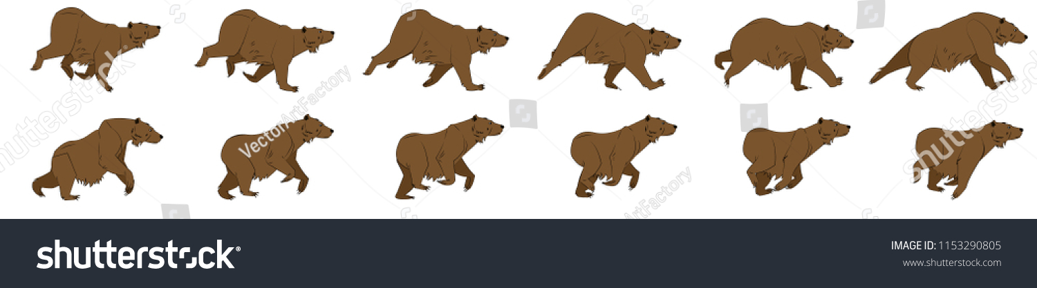 Bear Run Cycle Animation Sprite Sheet 库存矢量图（免版税）1153290805 | Shutterstock
