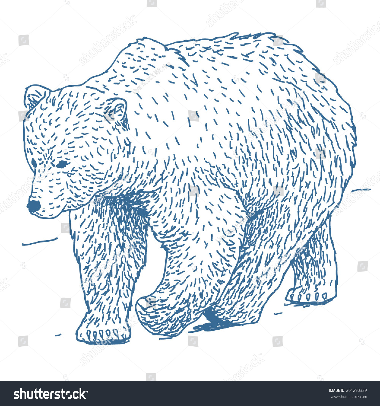 Bear Sketch Drawing Isolated On White Stock Vector (Royalty Free ...