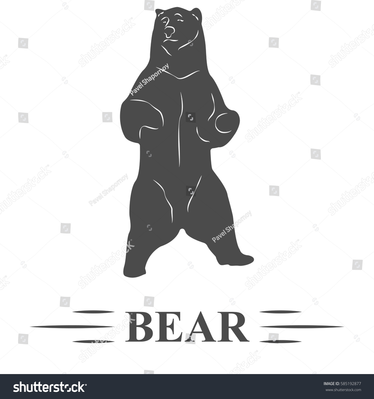 Bear Vector Standing Bear Watching White 库存矢量图（免版税）585192877 | Shutterstock