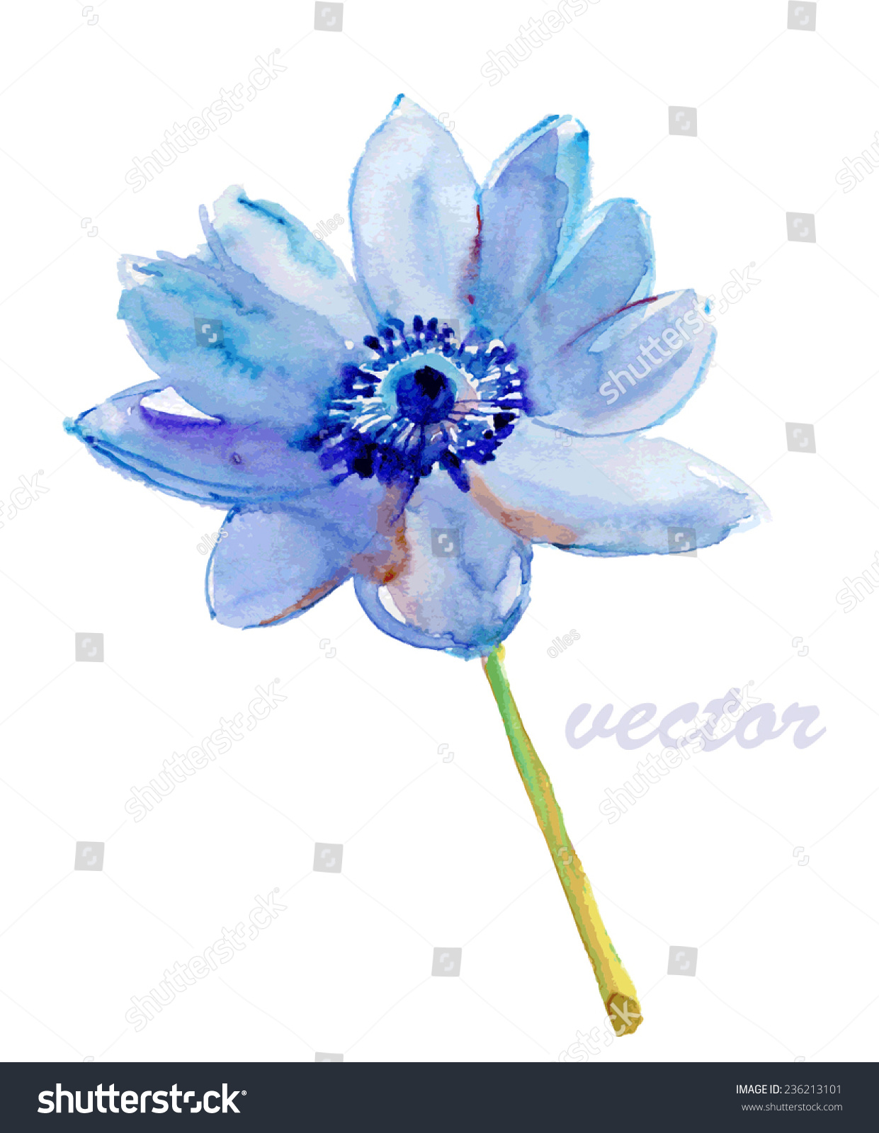 Beautiful Blue Flower Vector Stock Vector (Royalty Free) 236213101 ...