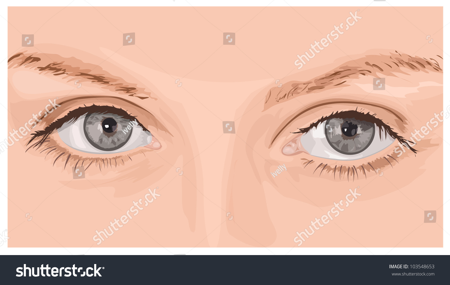Beautiful Eyes Vector Illustration Stock Vector (Royalty Free) 103548653