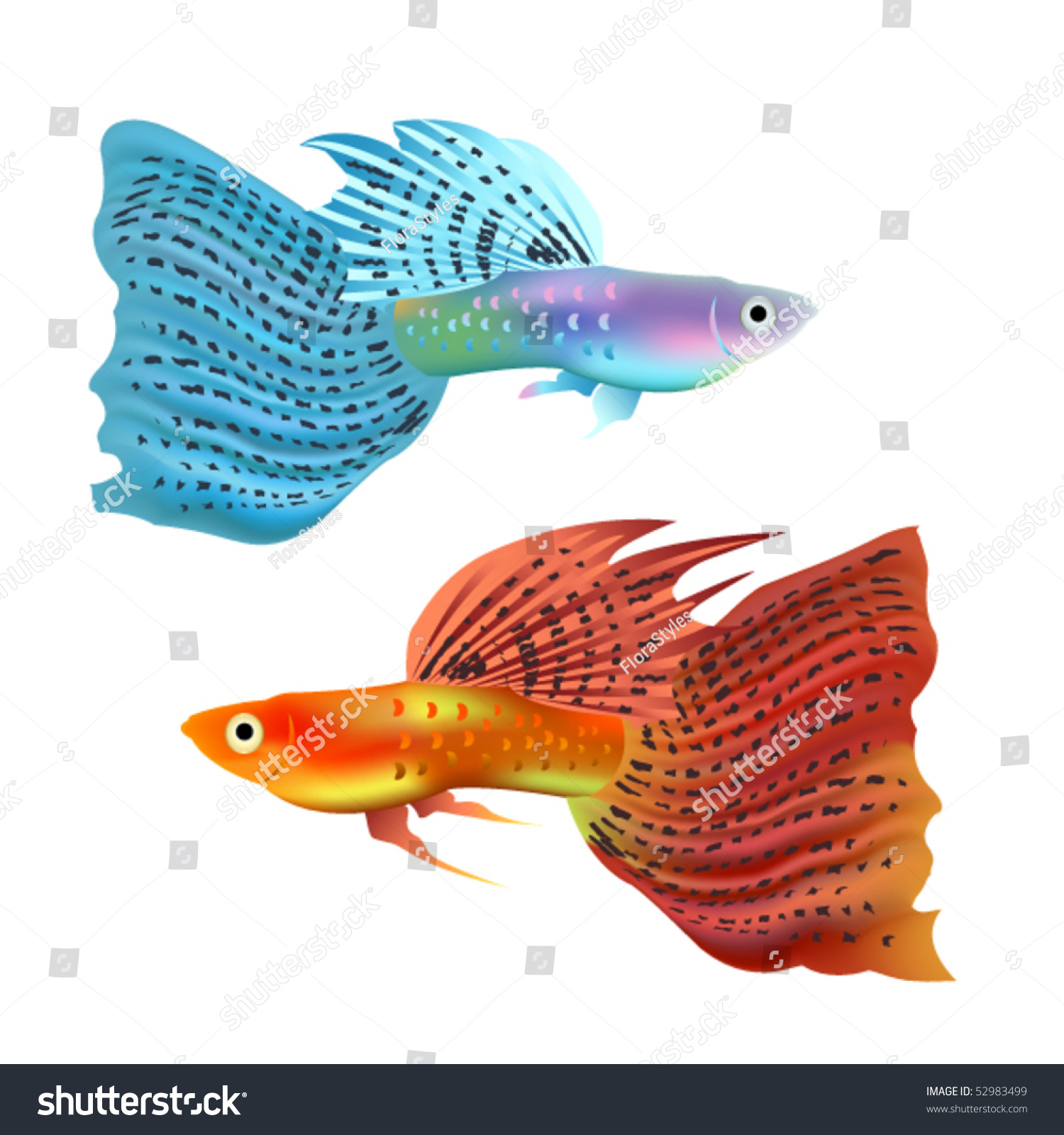 Beautiful Guppy Fishvector Stock Vector 52983499 - Shutterstock