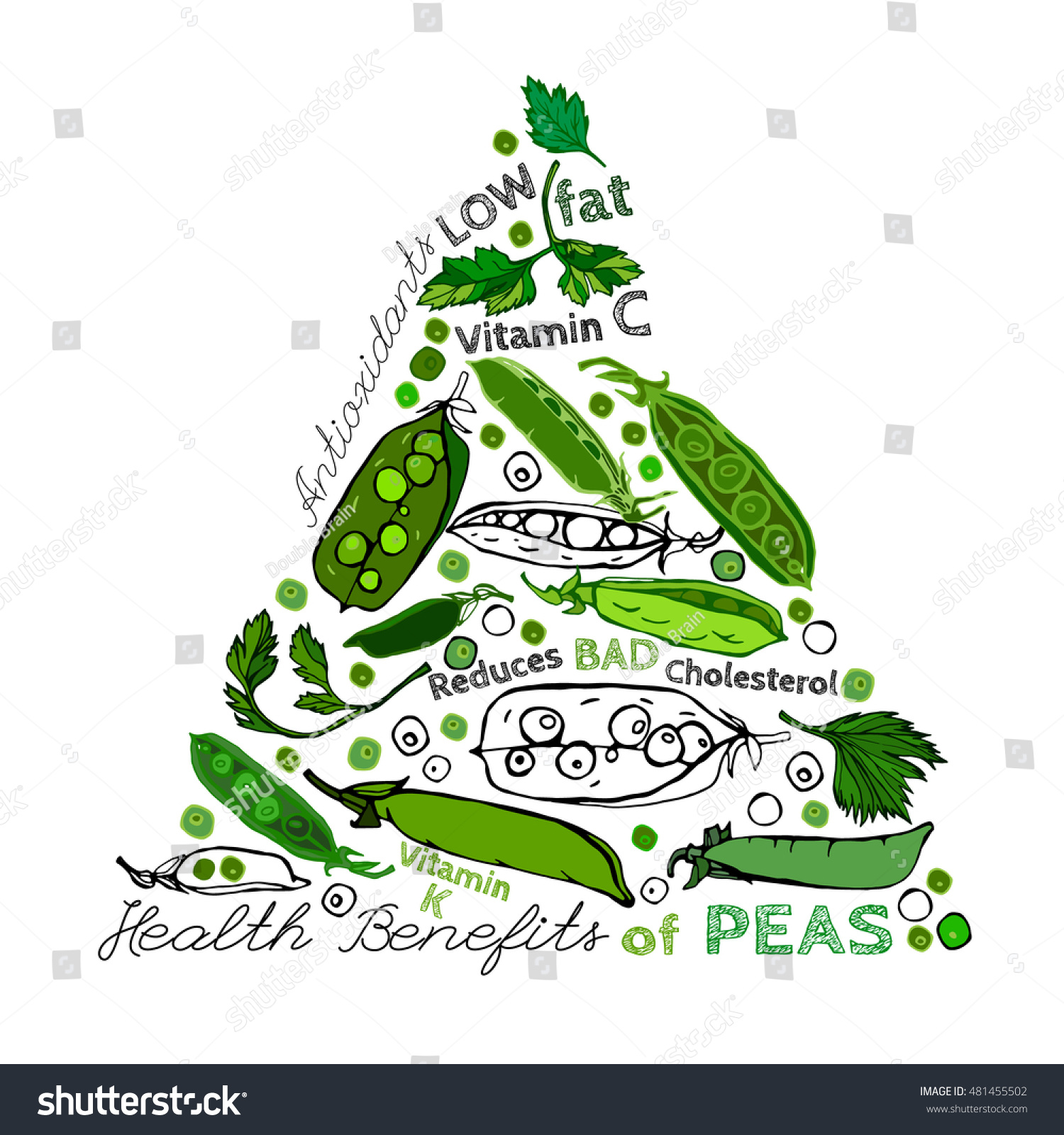 Beautiful Handdrawn Triangular Shaped Pattern Bright Stock Vector ...