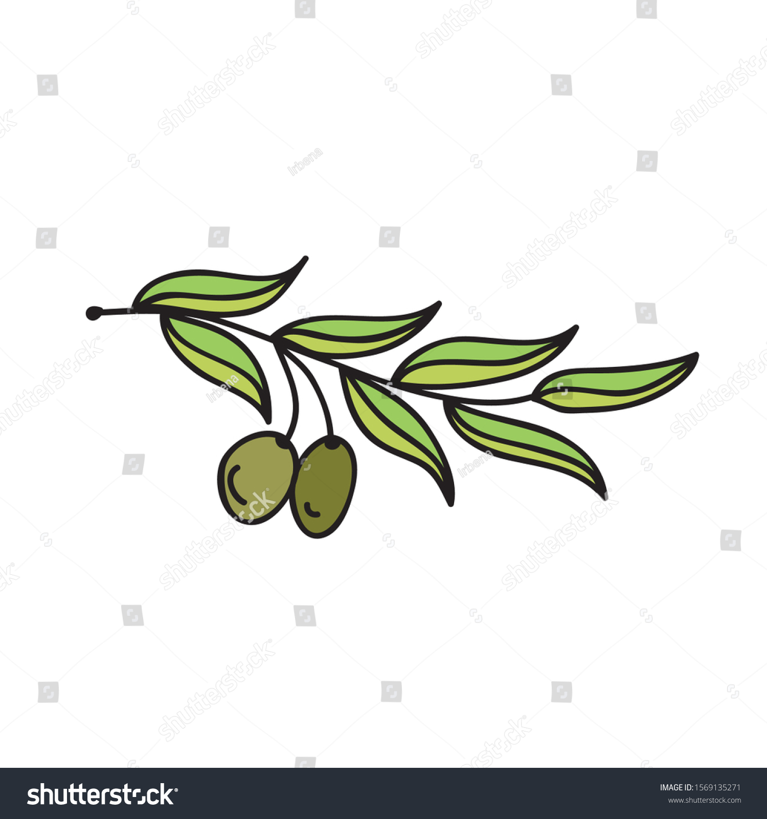Beautiful Olive Branch Vector Illustration Stock Vector (Royalty Free ...