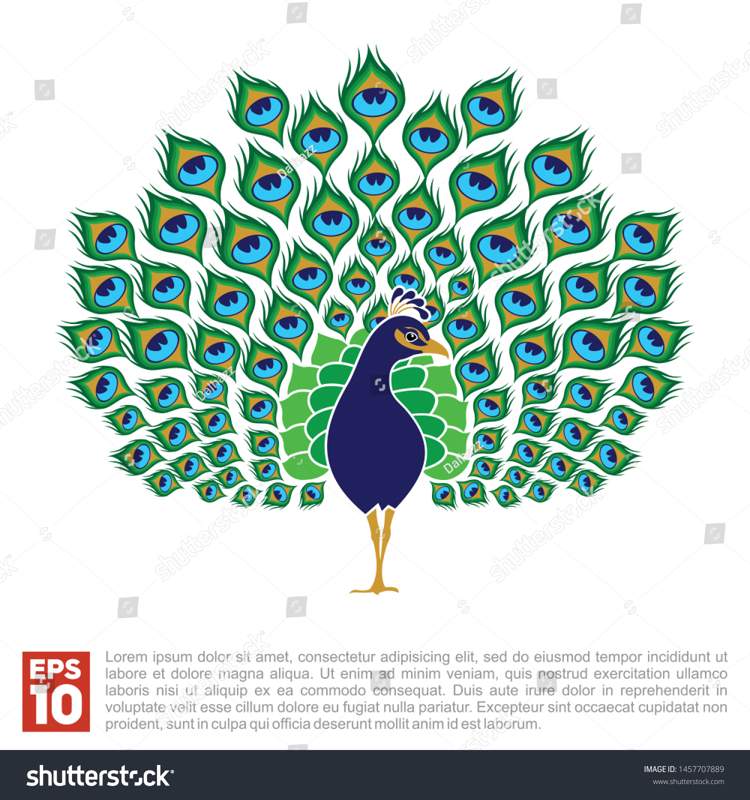 Beautiful Peacock Vector Logo Template Stock Vector (Royalty Free ...