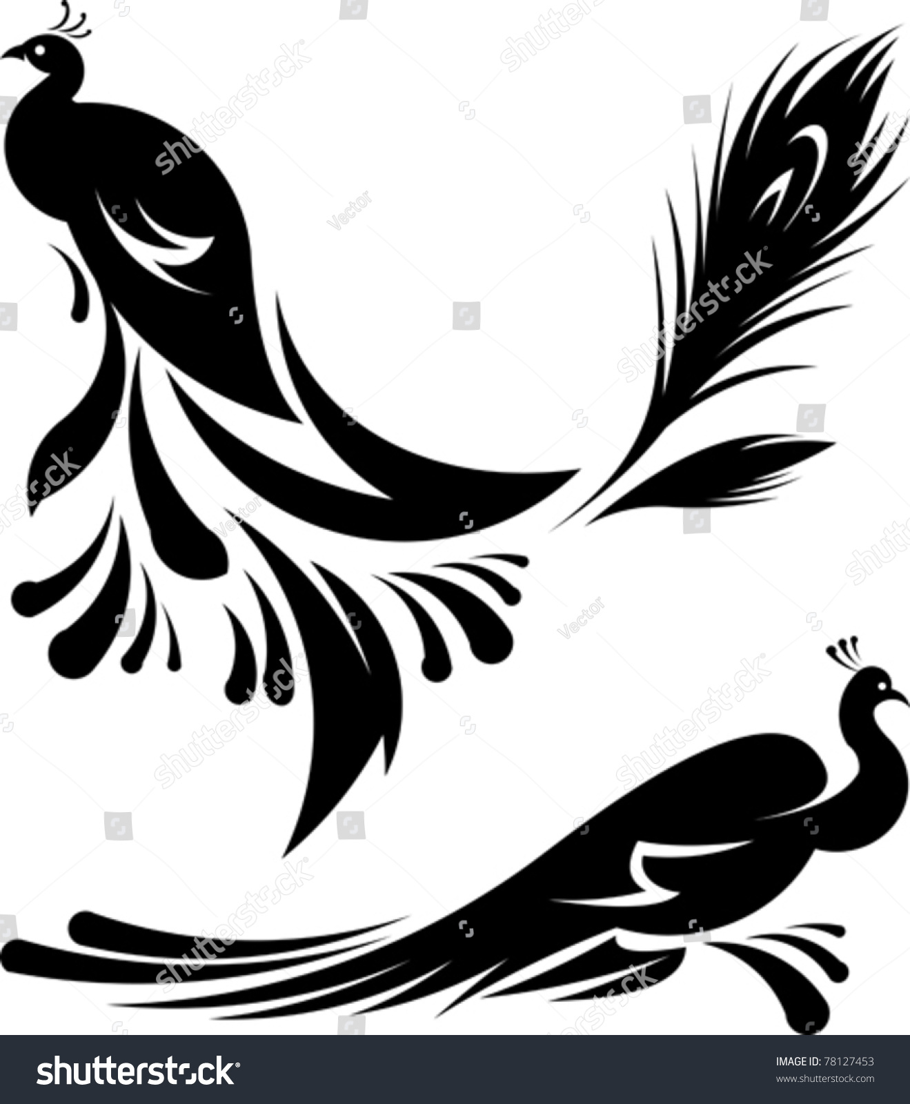 Beautiful Peacocks Vector Illustration: vetor stock (livre de direitos ...