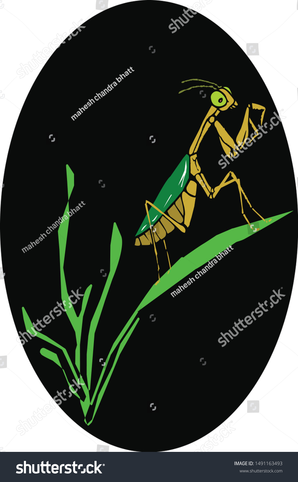 Beautiful Praying Mantis Logo Design Stock Vector (Royalty Free ...