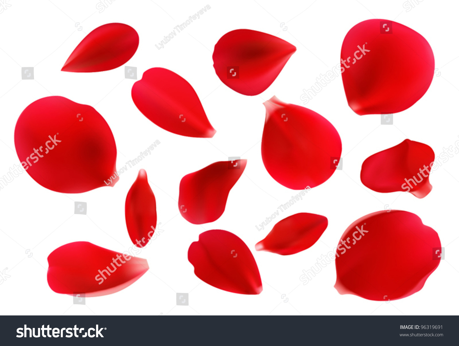 Beautiful Red Rose Petals Vector Format Stock Vector (Royalty Free ...
