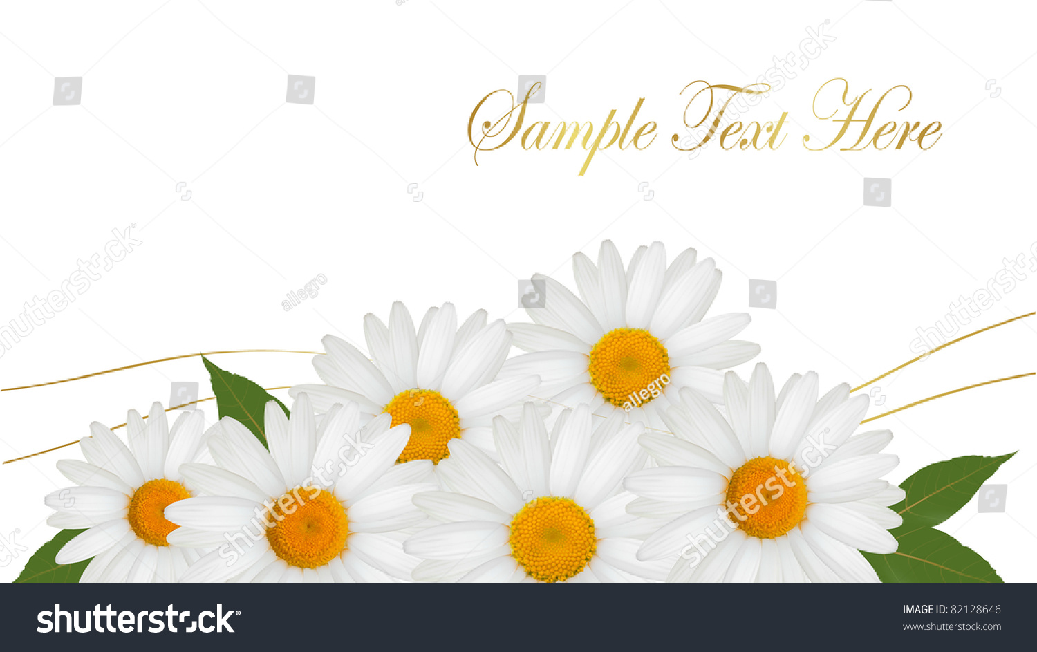 Beautiful White Daisy Background Vector Stock Vector (Royalty Free ...