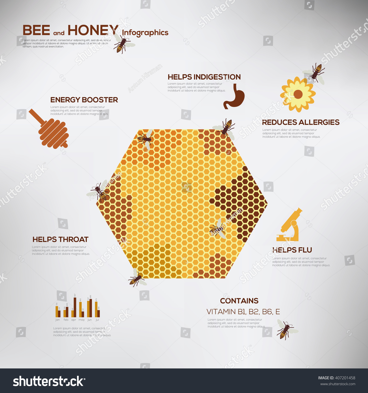 Bee Honey Infographics Stock Vector (Royalty Free) 407201458