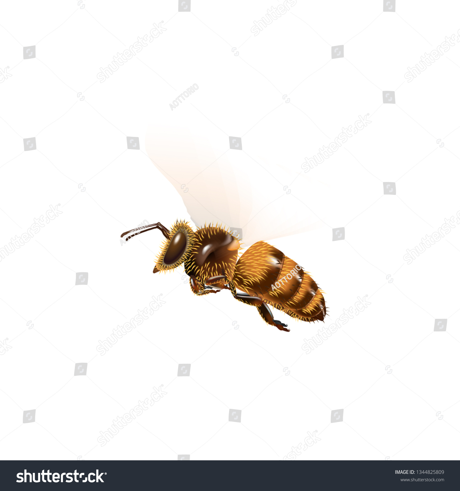 Bee Flying On White Background Stock Vector (Royalty Free) 1344825809 ...