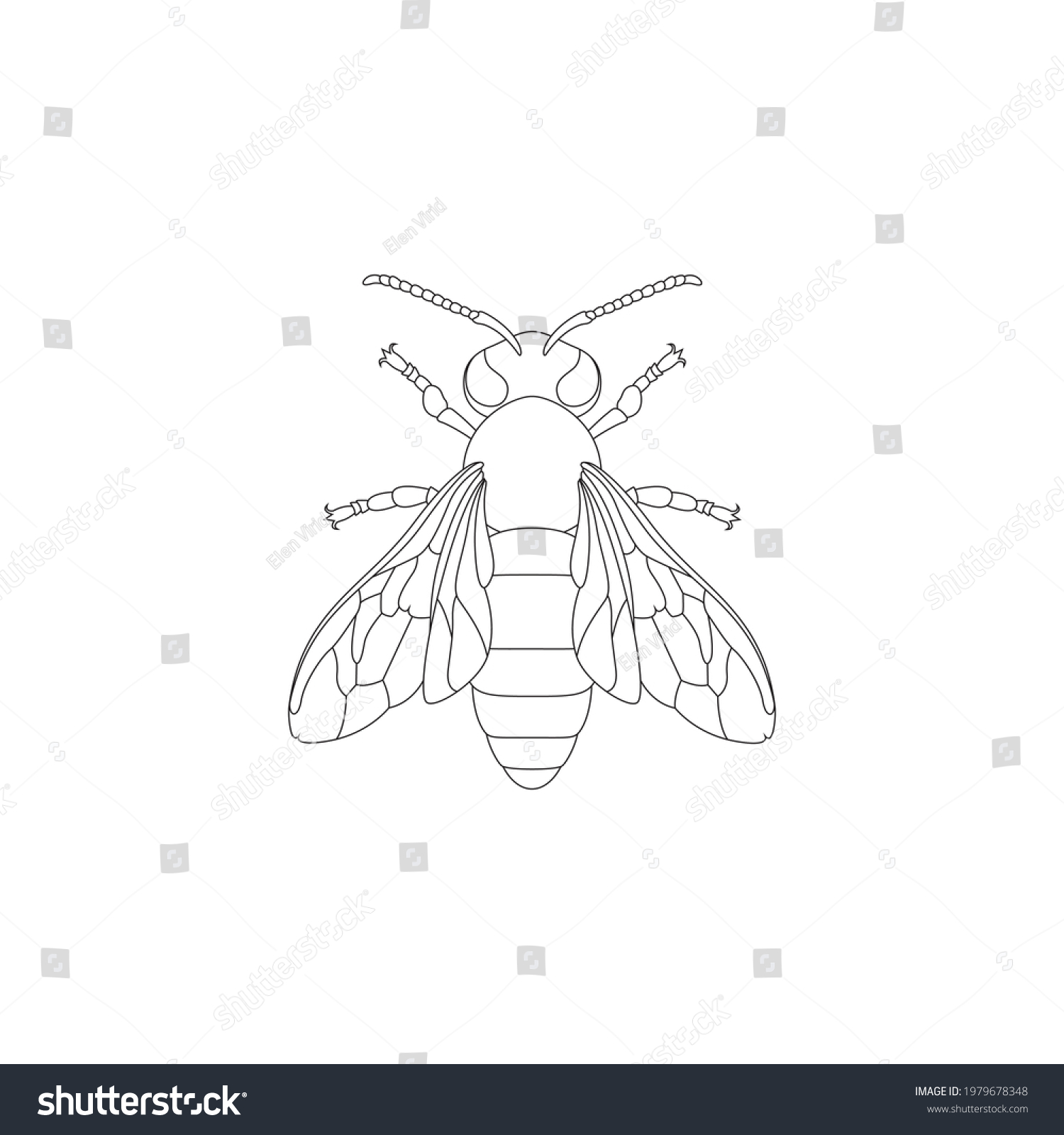 Bee Outline Drawing Line Vector Illustration: vetor stock (livre de ...