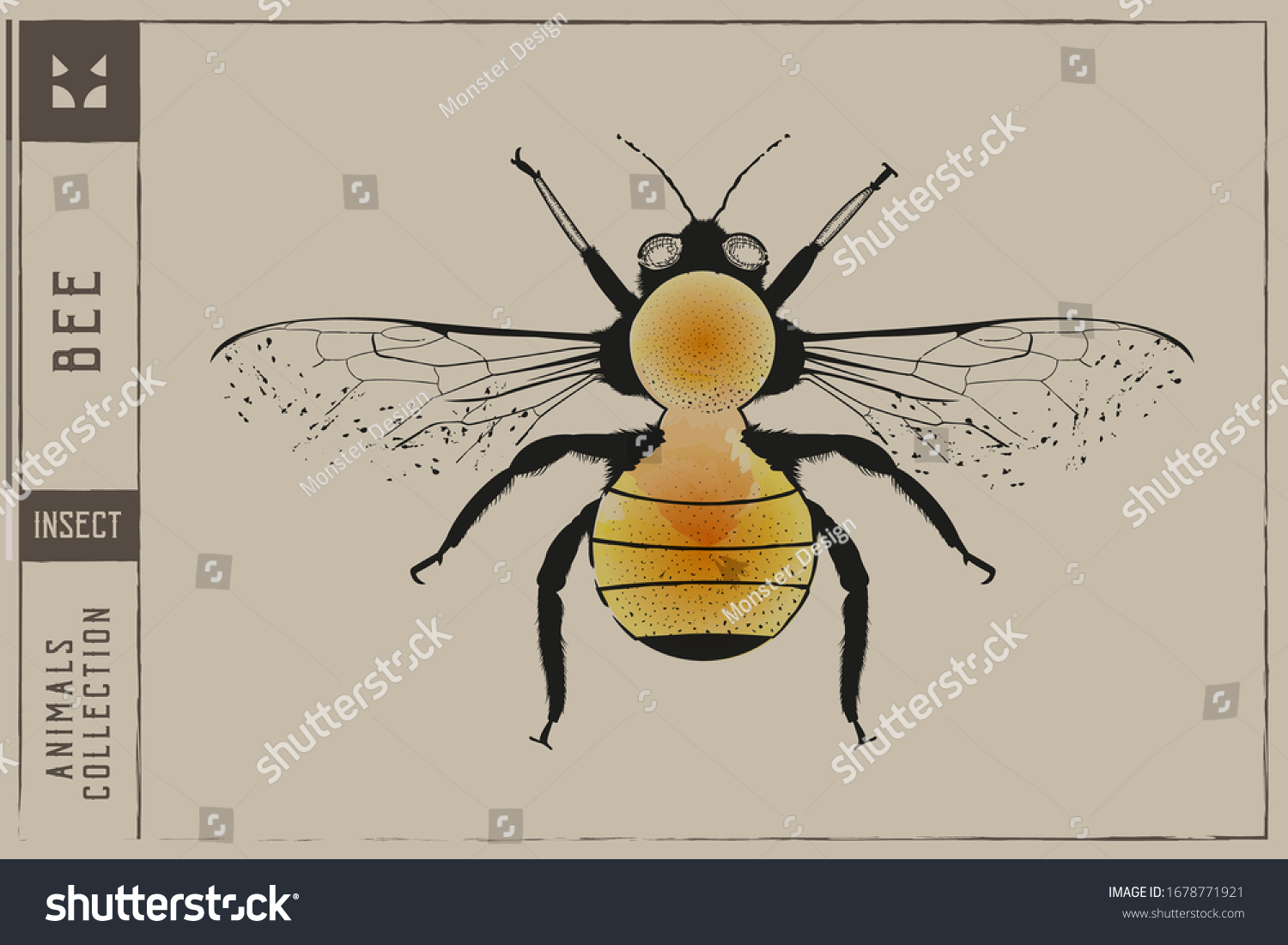 Bee Vector Illustration Top View Hand Stock Vector (Royalty Free ...