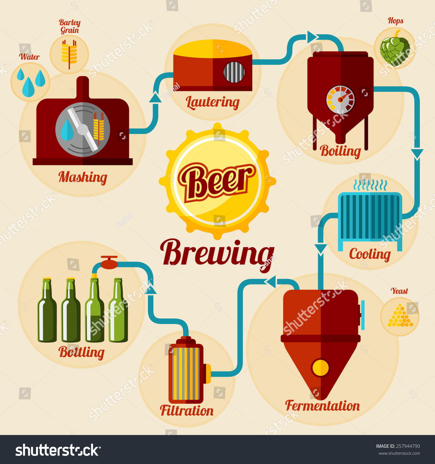 Beer Brewing Process Infographic. In Flat Style. Vector - 257944790 ...