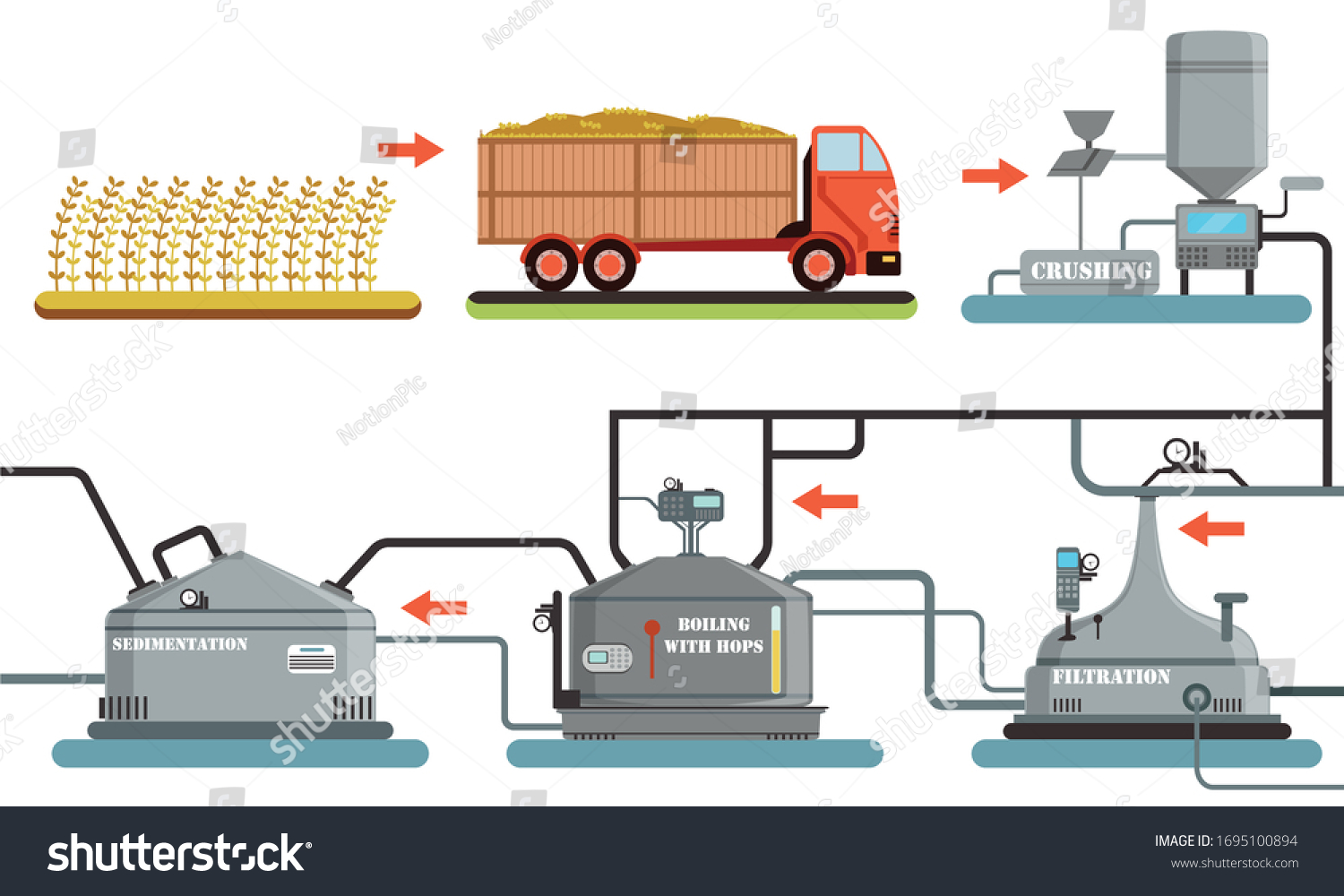 Beer Production Process Harvesting Crushing Sedimentation Stock Vector ... Beer Production Process Harvesting Crushing Sedimentation Stock Vector ...