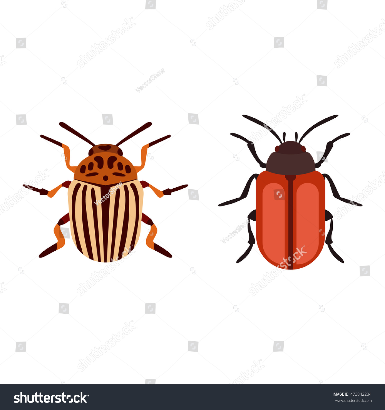 2,830 Bugs and beatles Images, Stock Photos & Vectors | Shutterstock