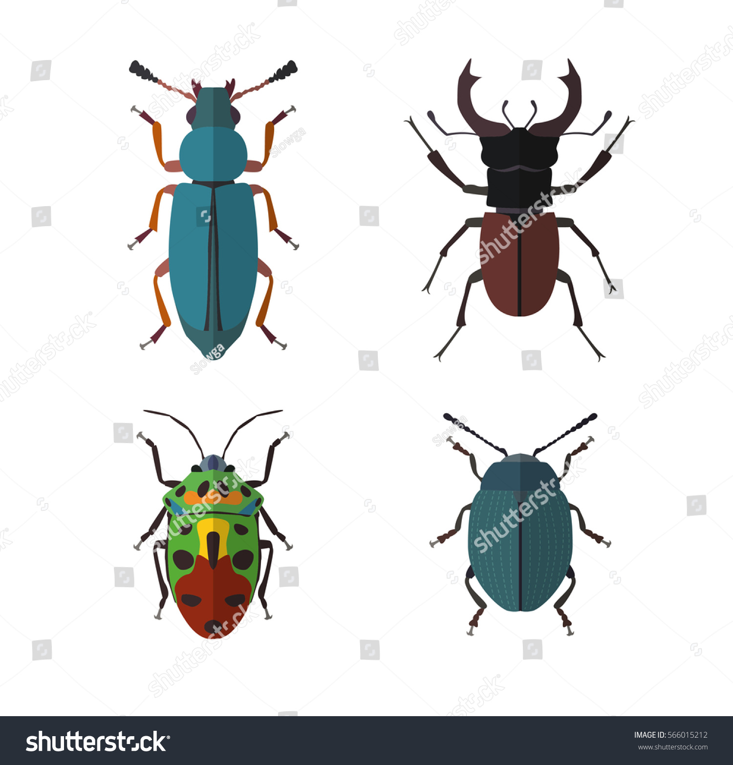 Beetle Flat Illustration Vector Insect Bug Stock Vector (Royalty Free ...