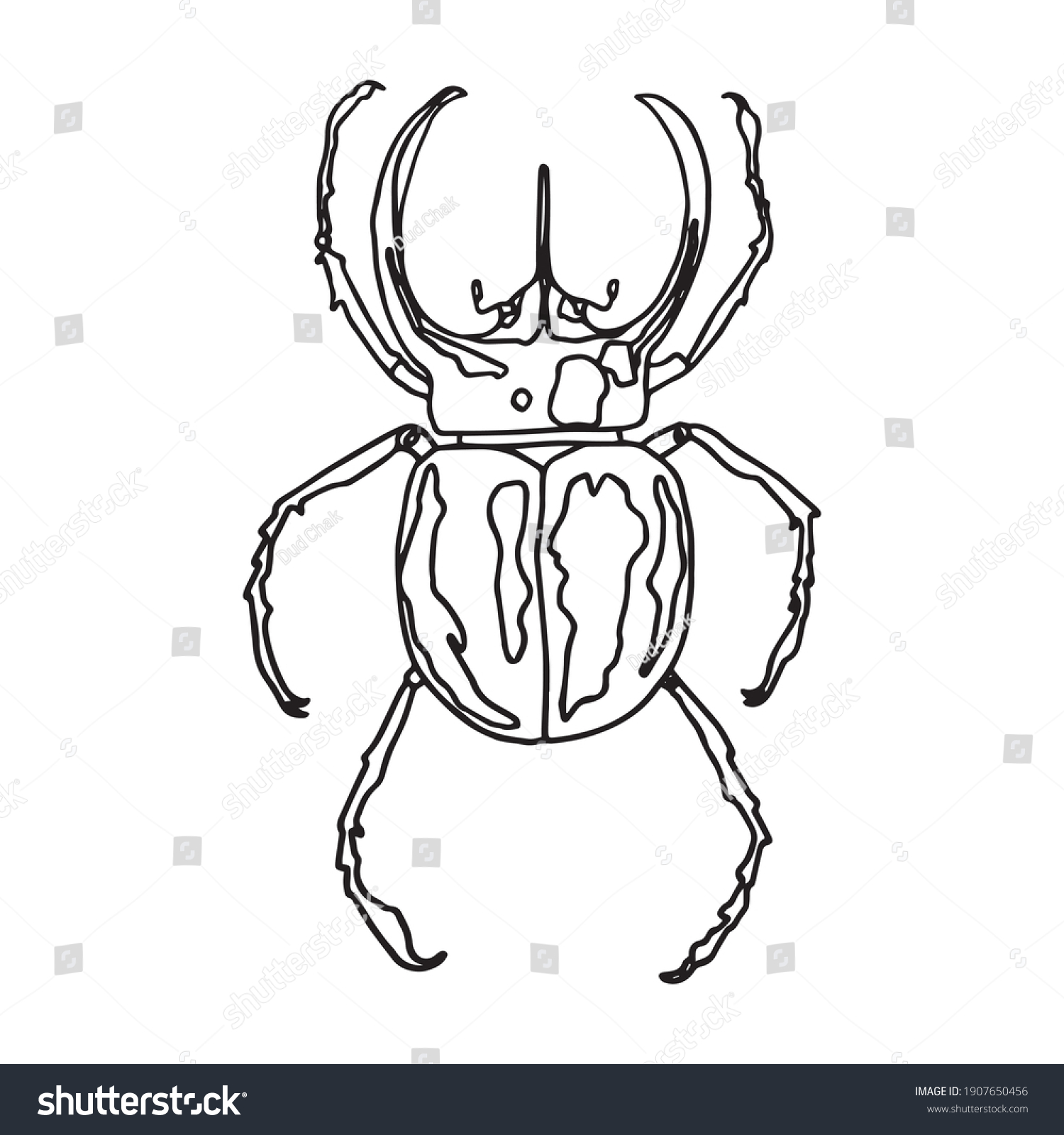 Beetle Outline Black Lines Vector No Stock Vector (Royalty Free) 1907650456