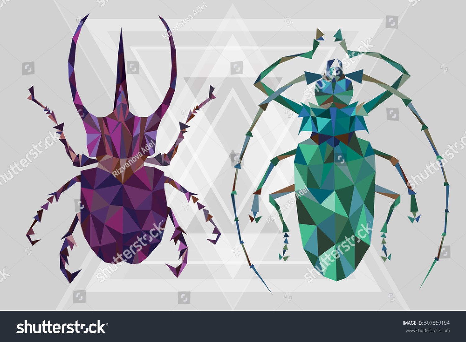 Beetles Stock Vector (Royalty Free) 507569194 | Shutterstock