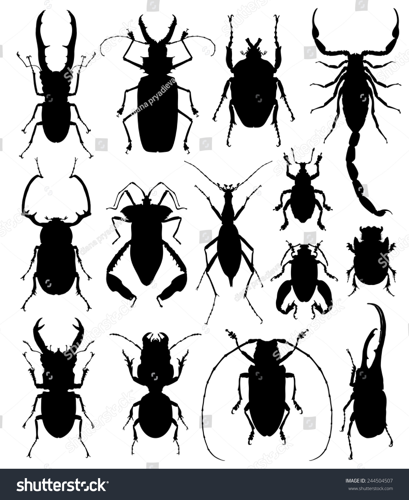 Beetles Bugs Silhouettes On Wight Background 库存矢量图（免版税）244504507 ...