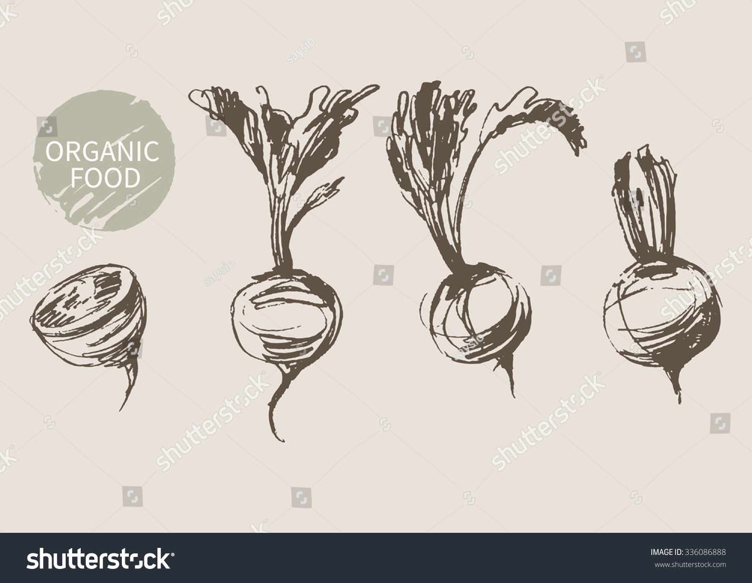 Beets Hand Draw Sketch Vector Stock Vector (Royalty Free) 336086888