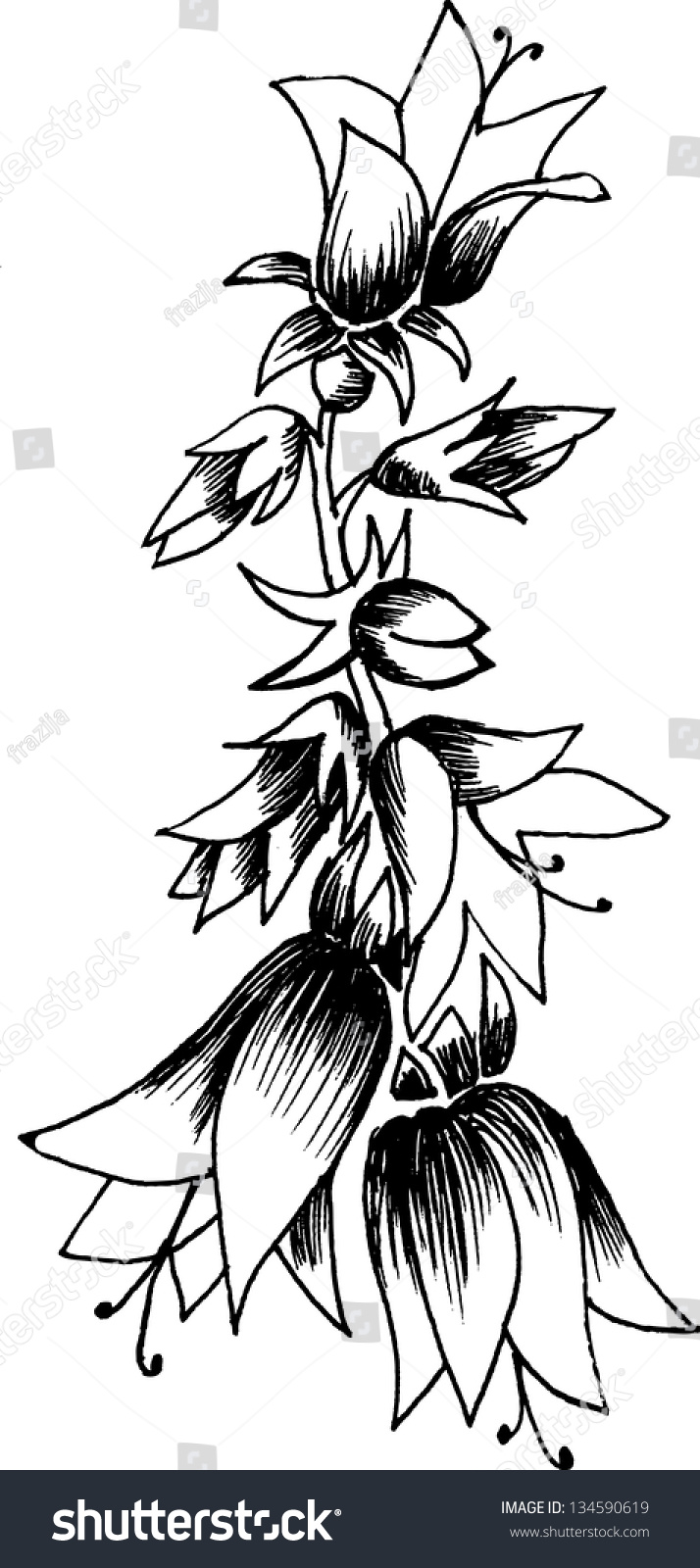 Bell Flower Vector Illustration Stock Vector (Royalty Free) 134590619 ...