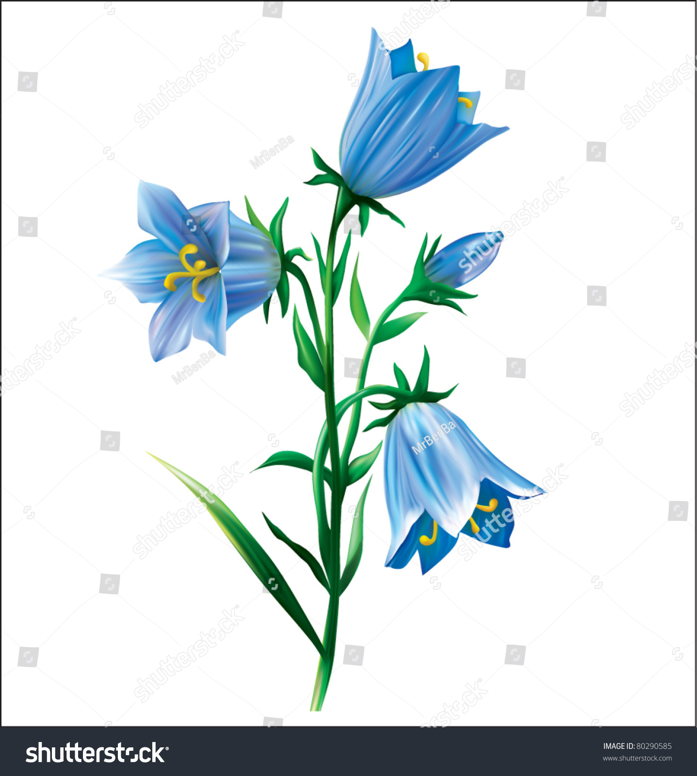Bell Flower Vector Illustration Stock Vector (Royalty Free) 80290585