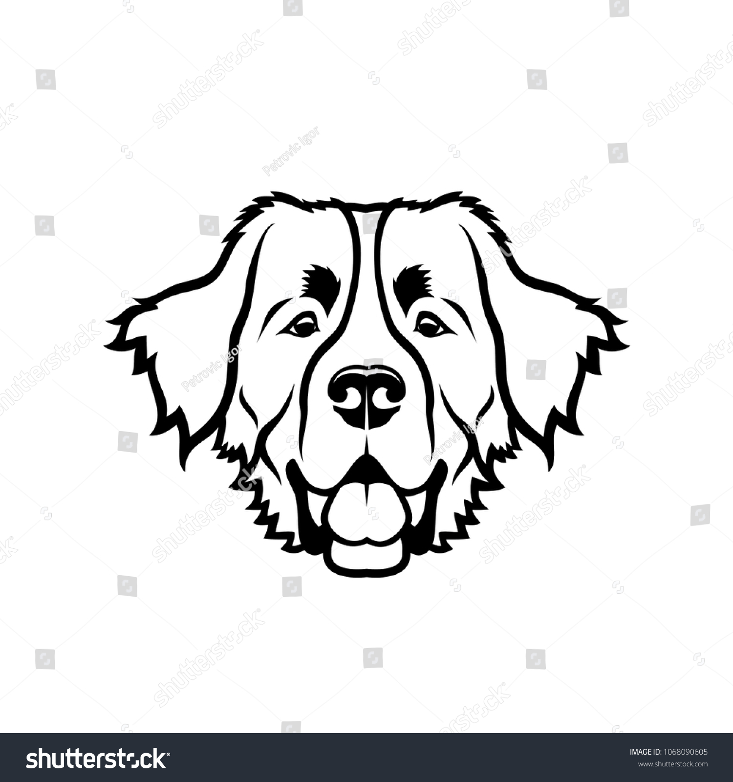 359 Bernese mountain dog drawing Images, Stock Photos & Vectors ...