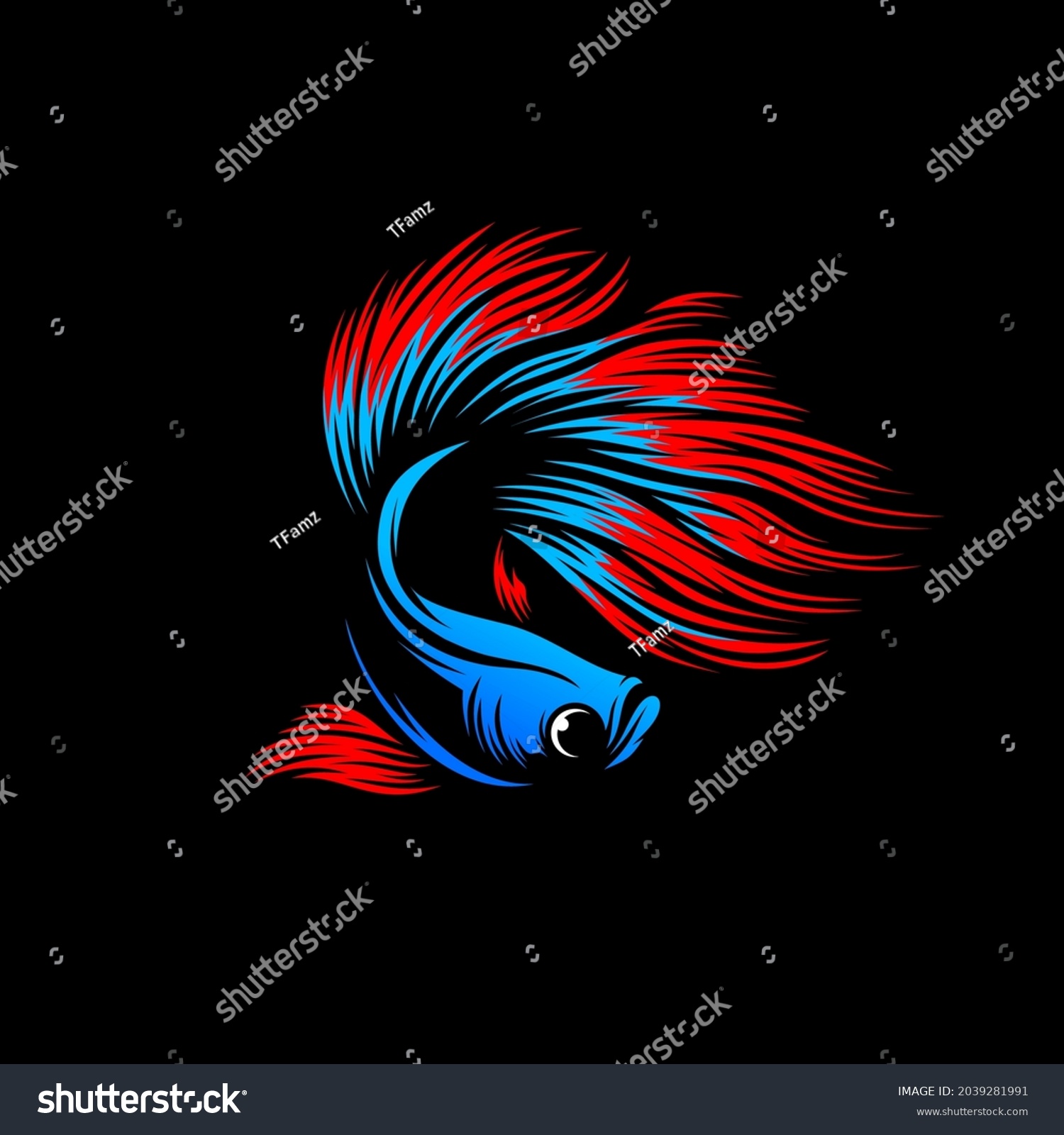 3,076 Siamese fighter fish Images, Stock Photos & Vectors | Shutterstock