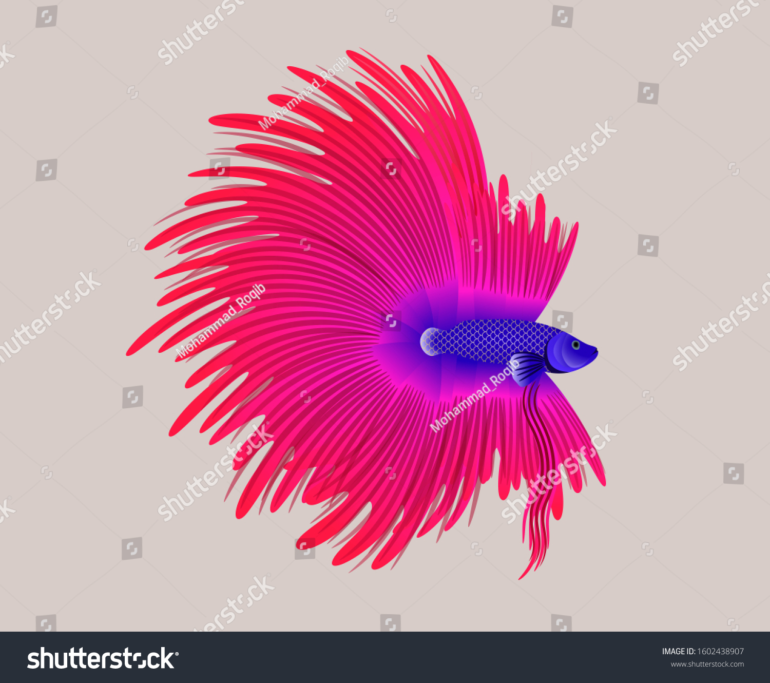 Betta Fish Violet Gradient Color Scheme Stock Vector (Royalty Free ...