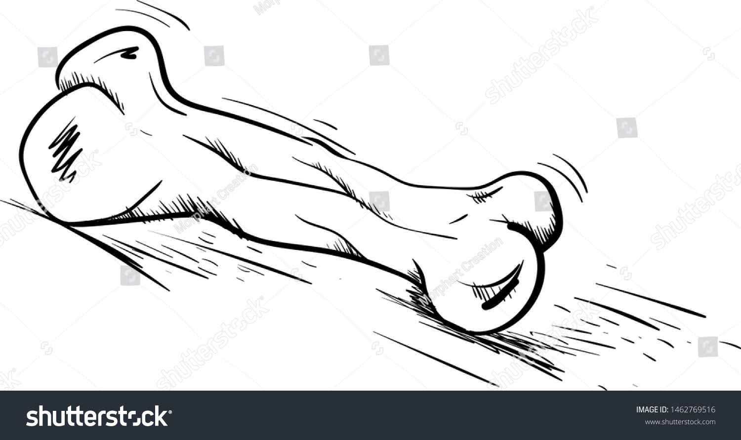 Big Bone Drawing Illustration Vector On Stock Vector (Royalty Free ...