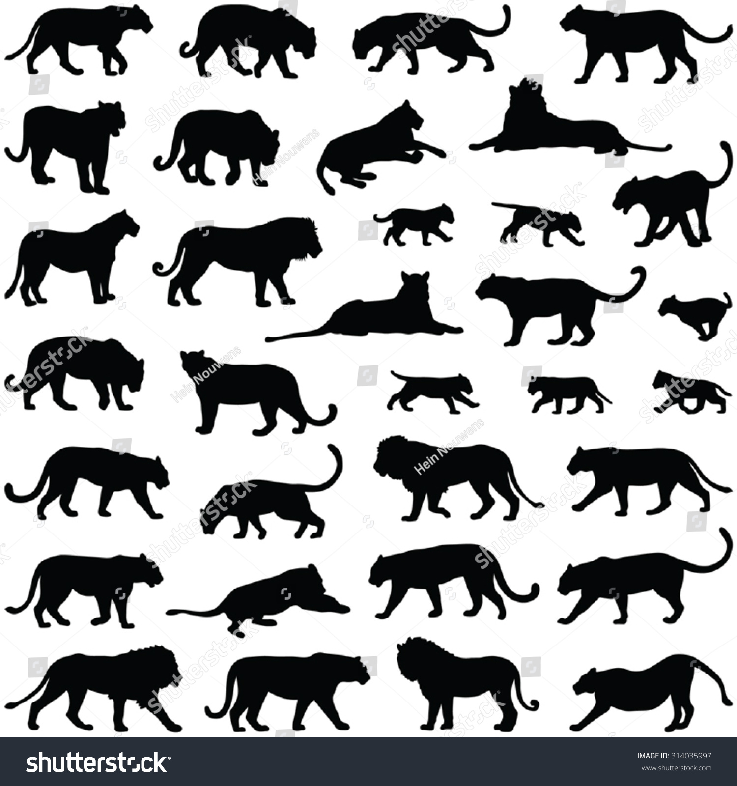 Big Cats Collection Vector Silhouette Stock Vector (Royalty Free ...