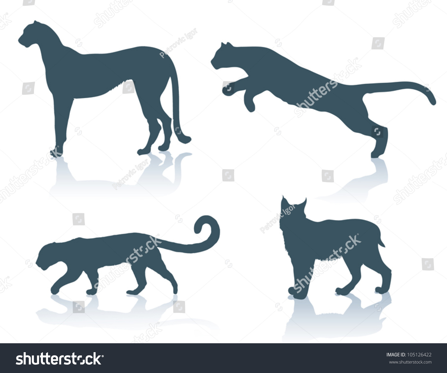 Big Cats Vector Illustration Stock Vector (Royalty Free) 105126422