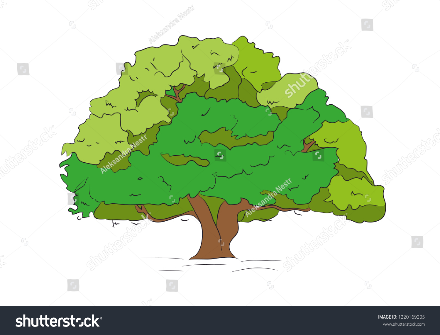 Big Tree Drawing Color Vector White Stock Vector (Royalty Free ...