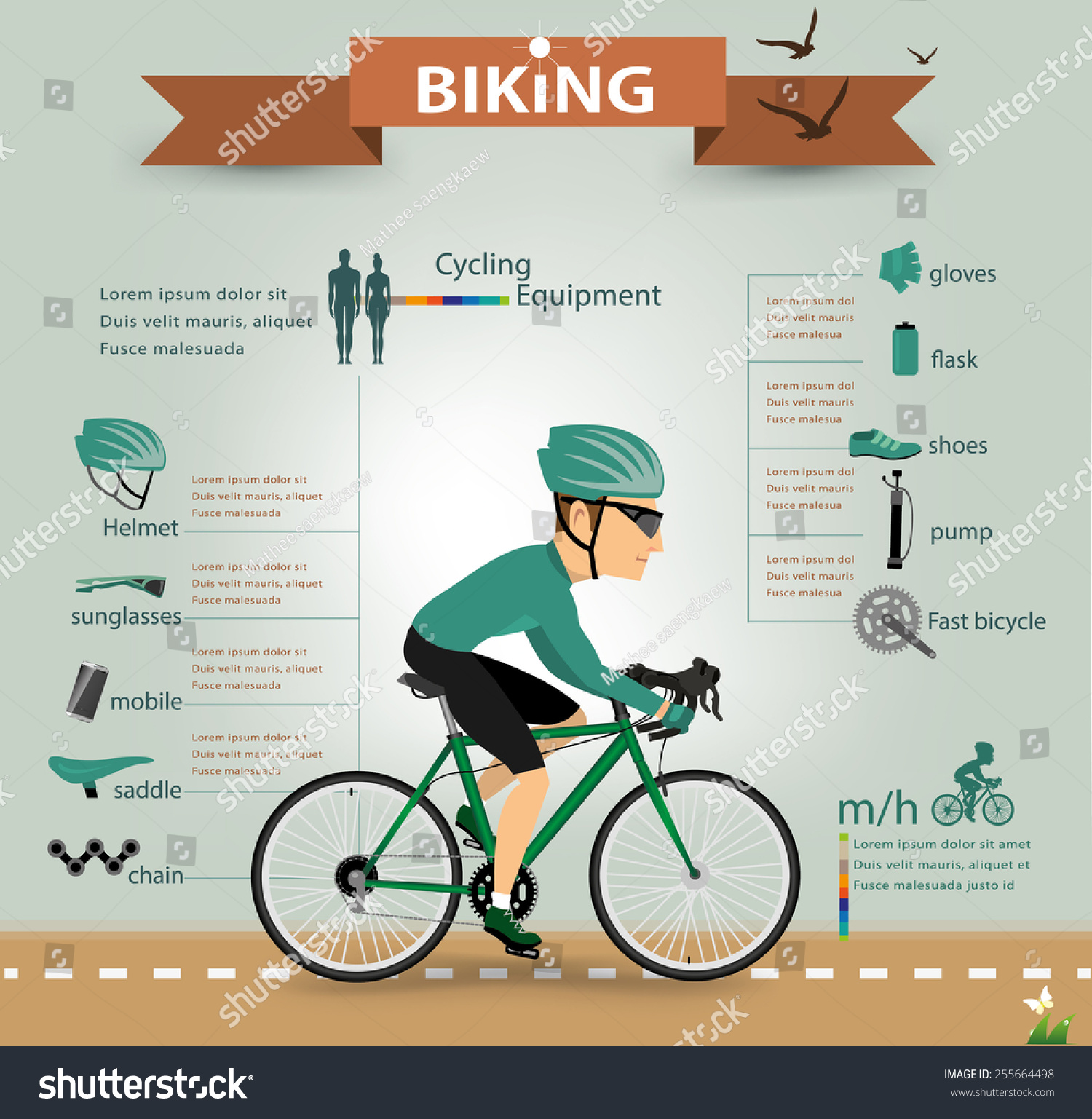 Bike Infographicsvector Stock Vector (Royalty Free) 255664498