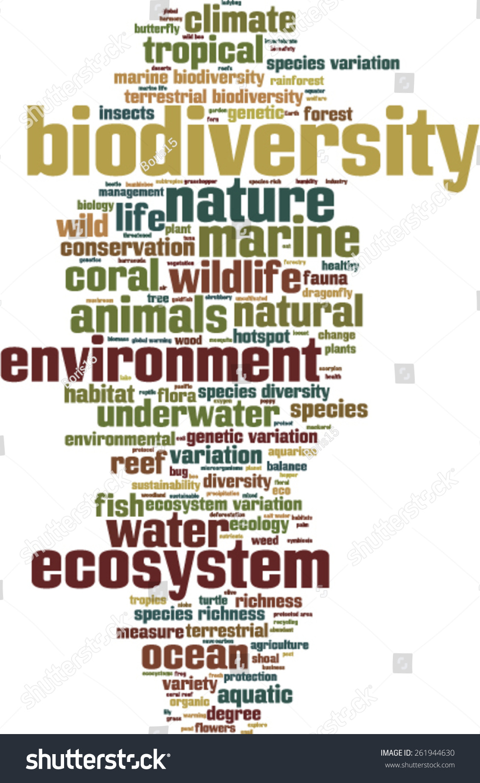 Biodiversity Word Cloud Concept Vector Illustration: เวกเตอร์สต็อก ...