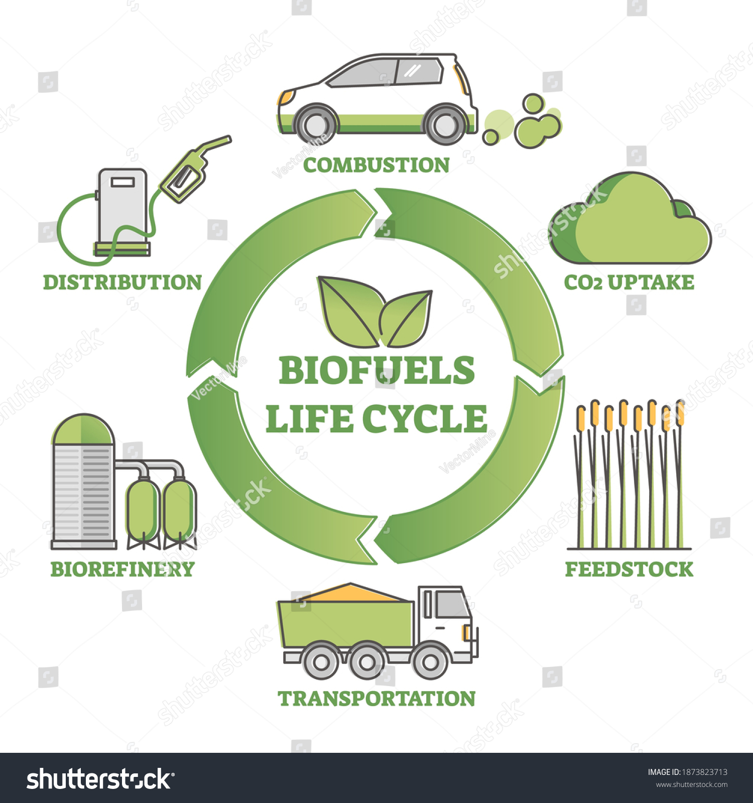 Biofuel Life Cycle Diagram Production Consumption Stock Vector Royalty