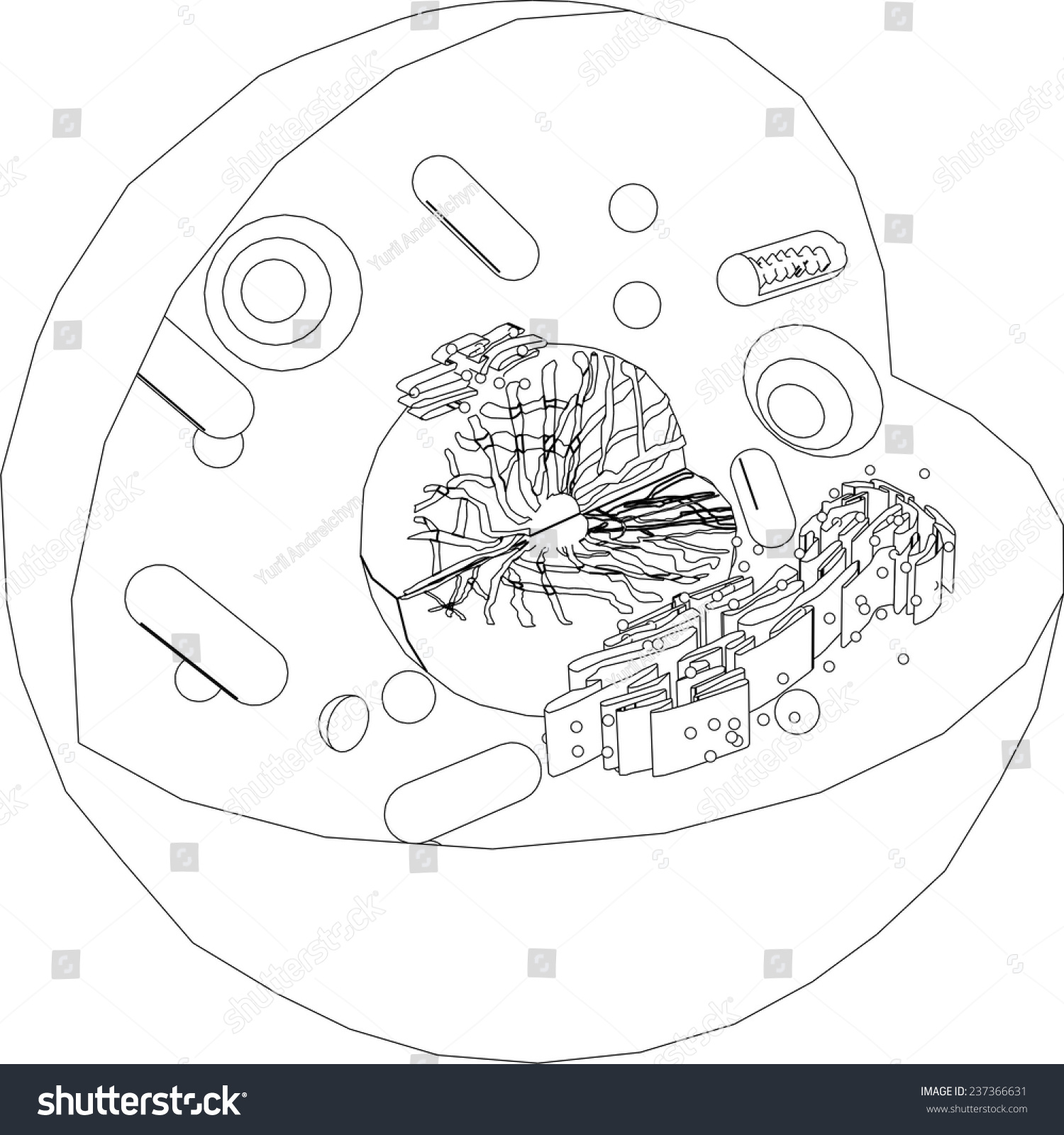 Biology Cell Stock Vector (Royalty Free) 237366631