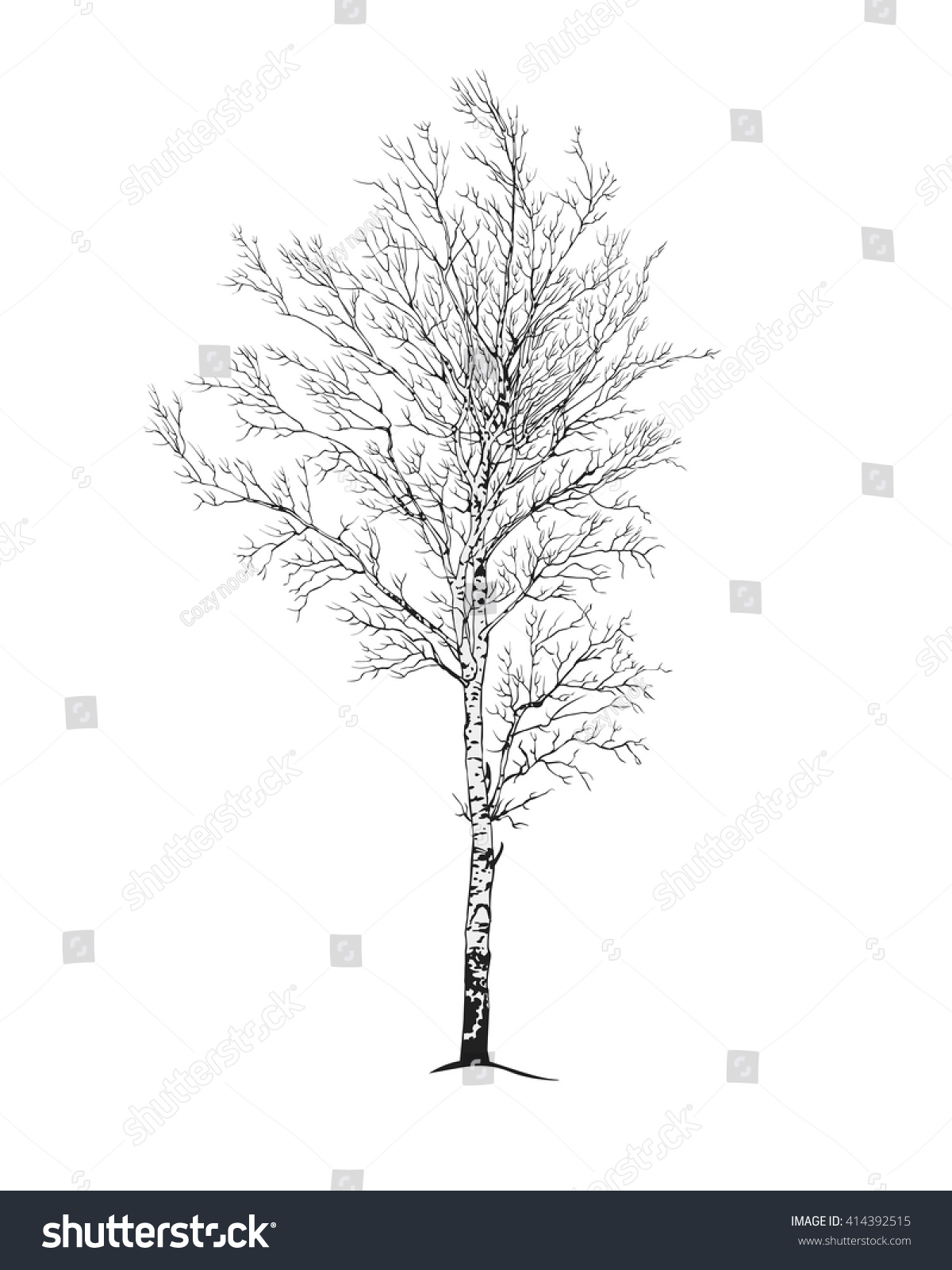 Birch Tree Silhouette Stock Vector (Royalty Free) 414392515