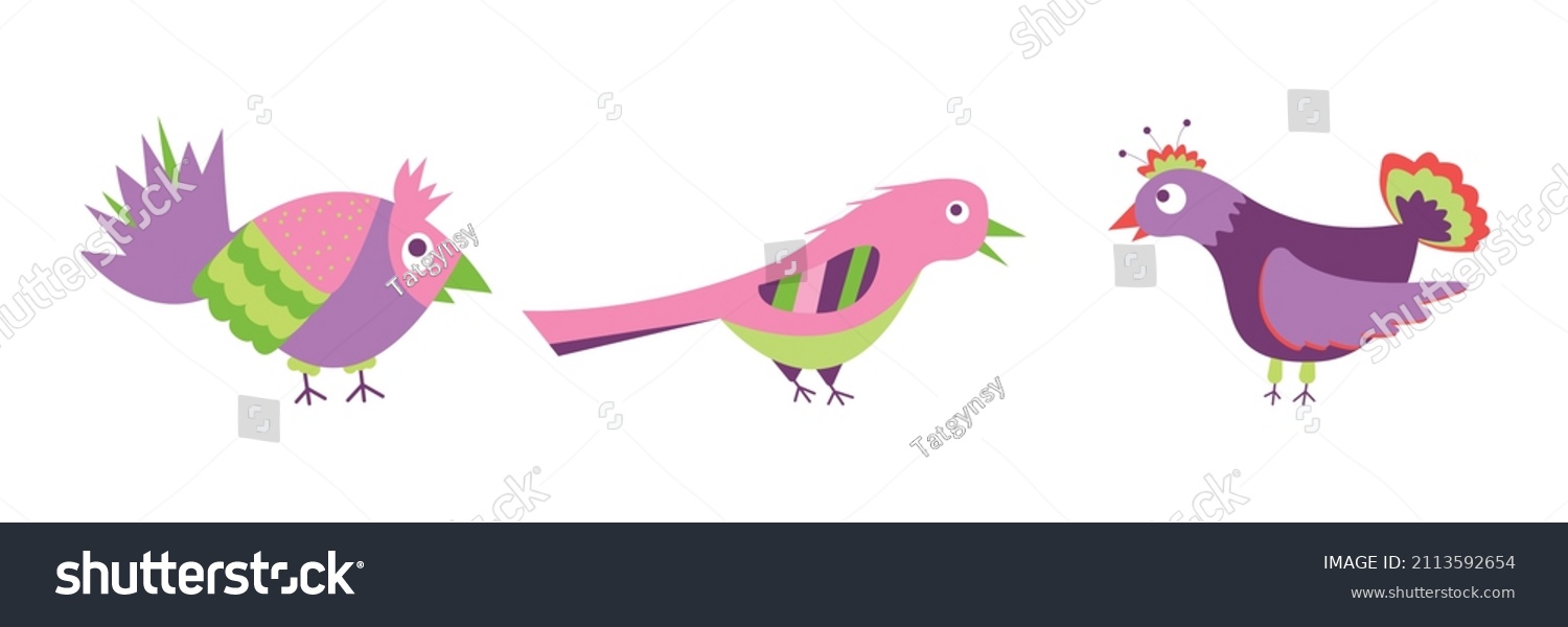 Bird Cartoon Set Illustration Vector Stock Vector (Royalty Free ...