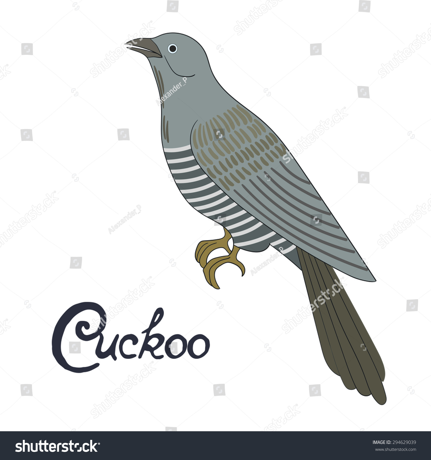 Bird Cuckoo Vector Illustration Stock Vector (Royalty Free) 294629039