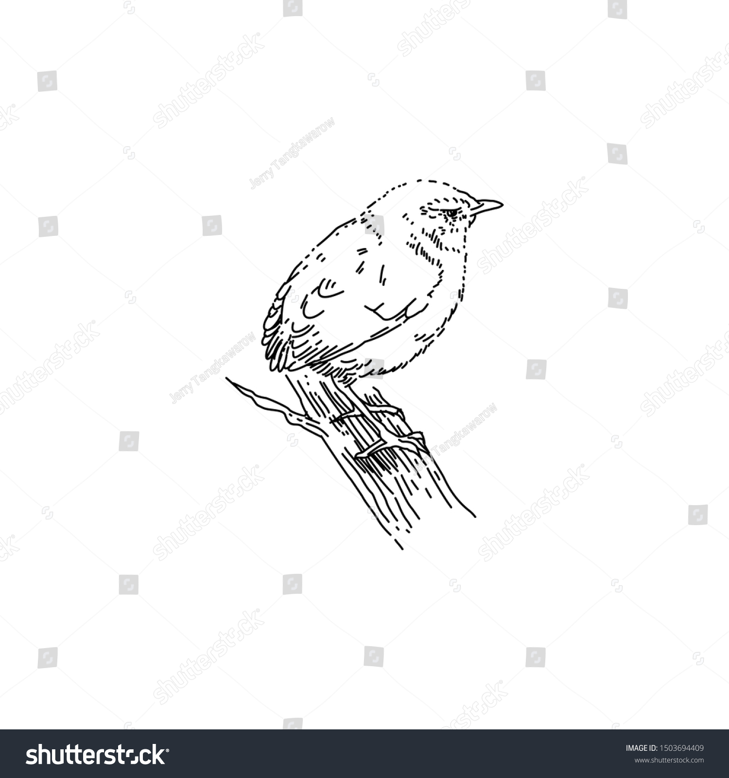 Bird Hand Drawing Vector Art Stock Vector (Royalty Free) 1503694409 ...