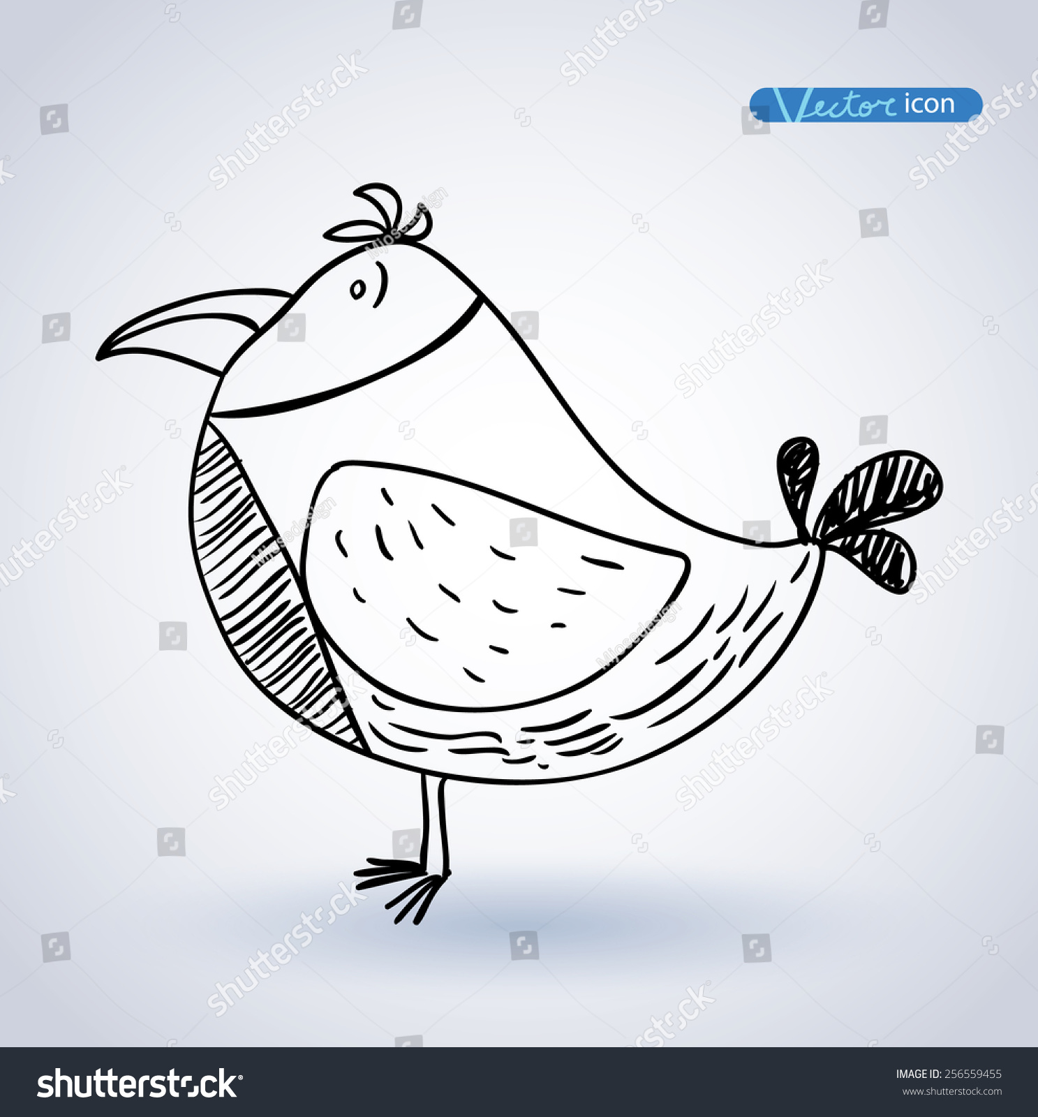Bird Hand Drawn Vector Illustration Stock Vector (Royalty Free) 256559455