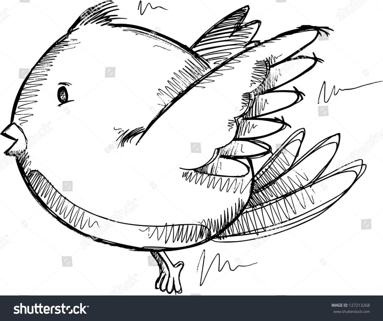 Bird Sketch Drawing Vector Stock Vector (Royalty Free) 127213268