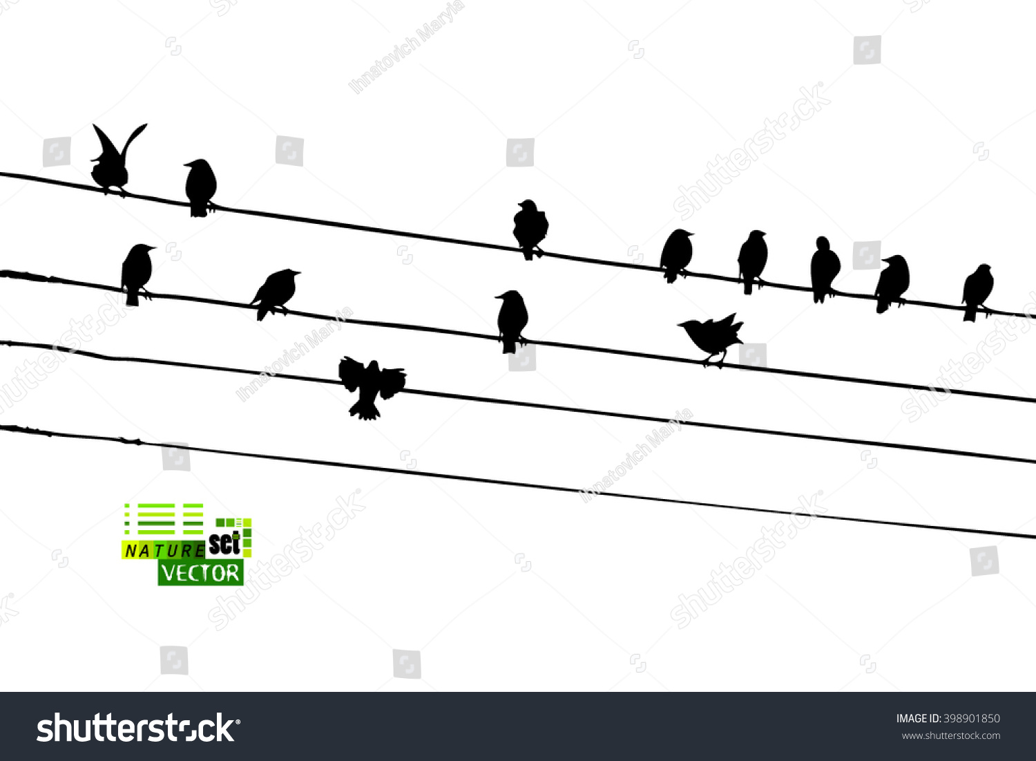 Birds On Wires Vector Stock Vector (Royalty Free) 398901850