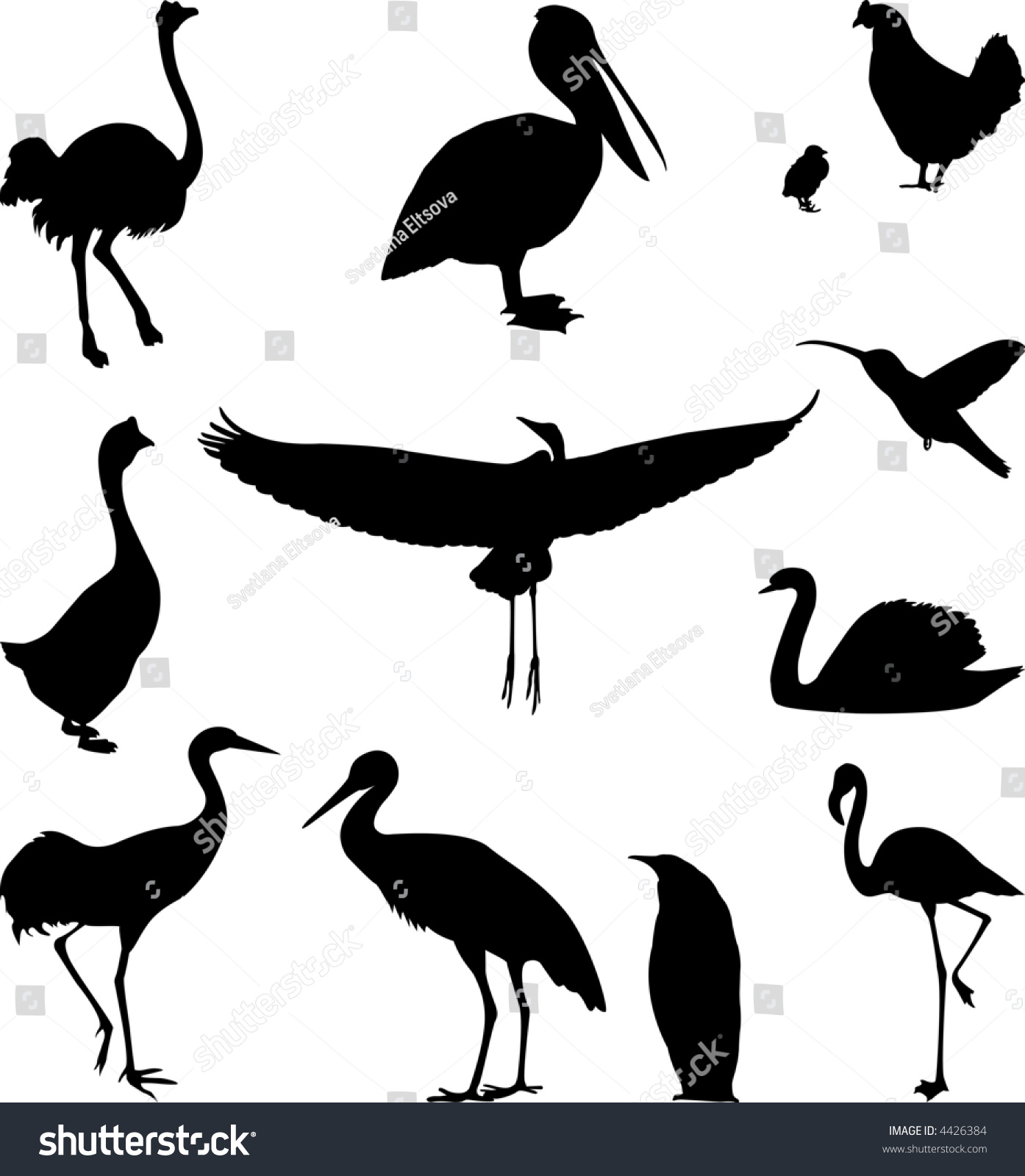 Birds Vector Stock Vector (Royalty Free) 4426384